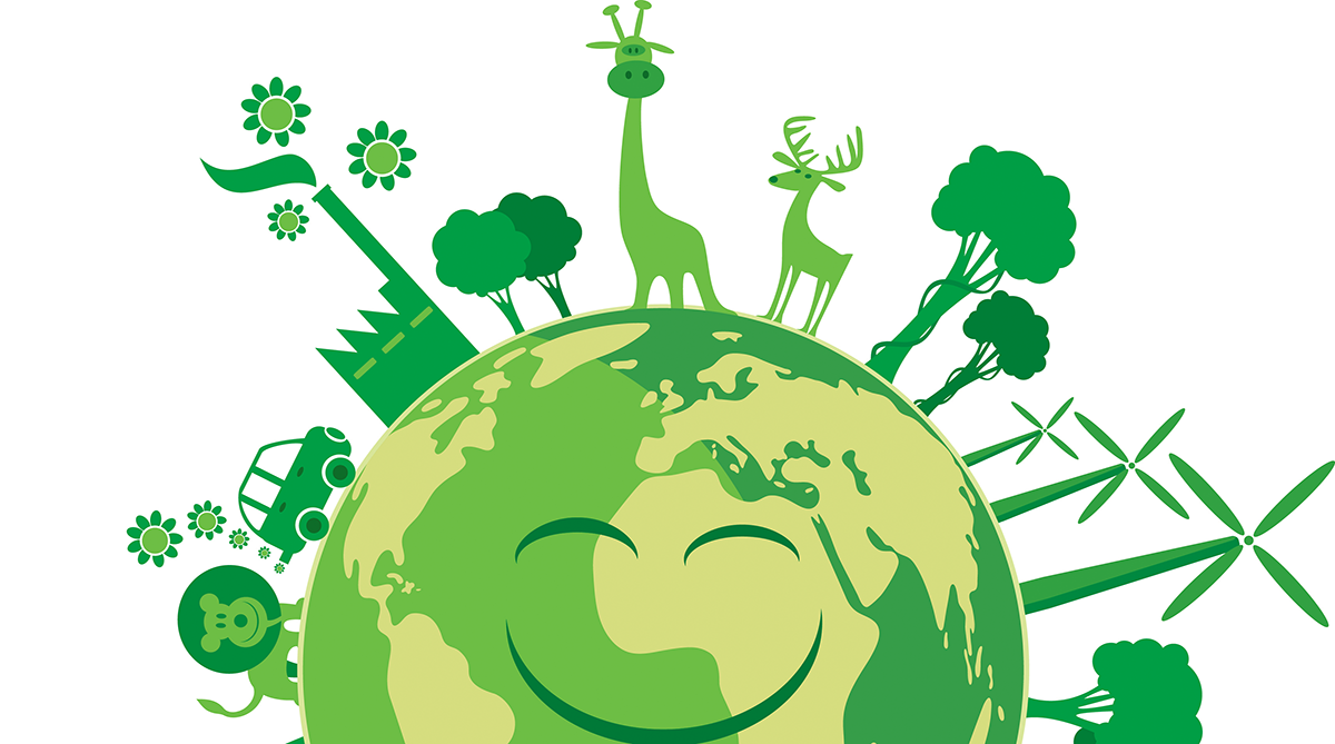 Promoting Circular Bio-based Economy in Kymenlaakso Region | READ Xamk