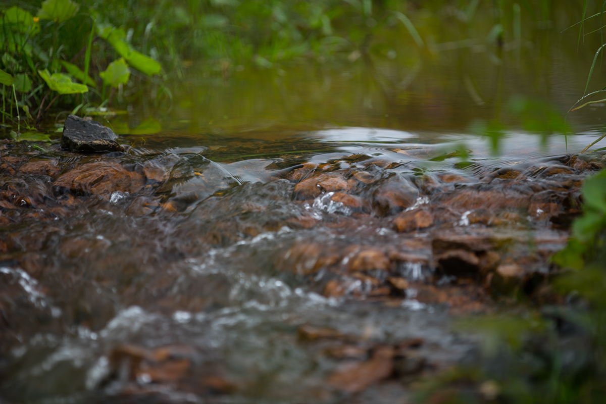 Promoting the purity of water systems | READ Xamk