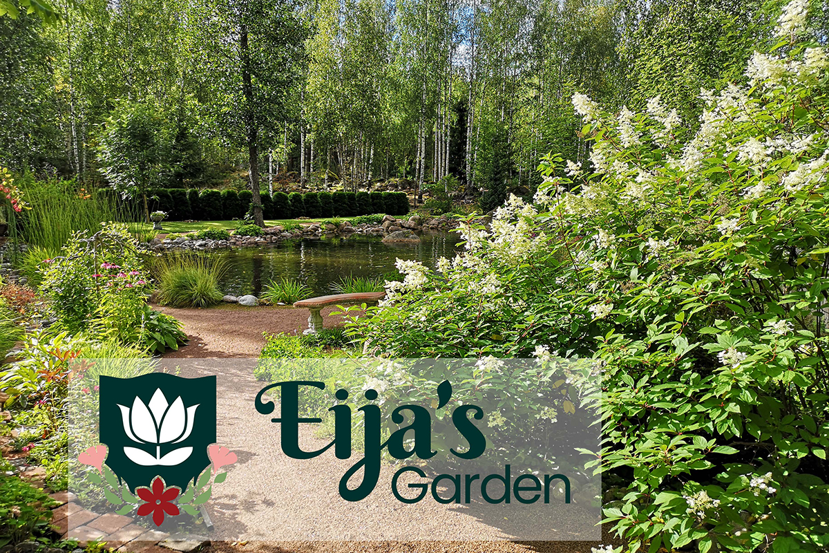 Business Office & yritysyhteistyö | READ Xamk